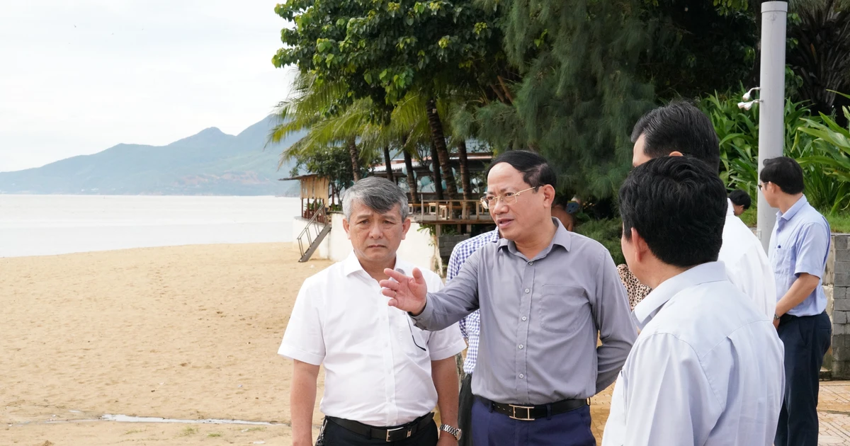 Quy Nhon aims to elevate tourism brand on global travel map