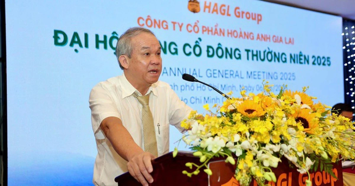 Hoang Anh Gia Lai joins TIME’s Asia-Pacific top 500 as Vietnam secures ...
