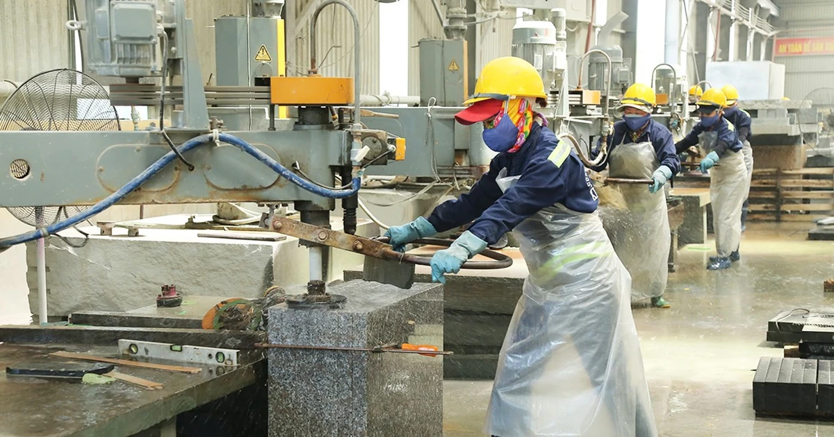 Gia Lai accelerates private-sector reforms as business numbers surge ...