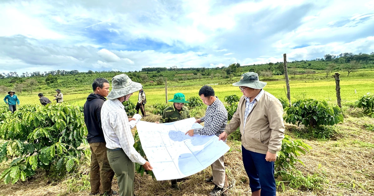 Gia Lai revises provincial plan to expand development space and build ...
